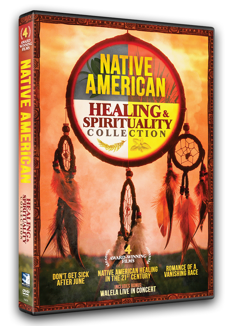 Native American Indian Spirituality Intricate Hand Drawn Illustration